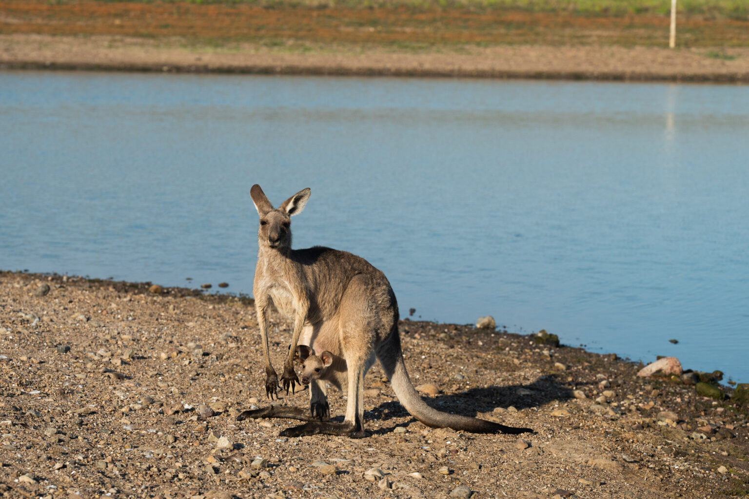 Park Facilities - Lake Wivenhoe Campground
